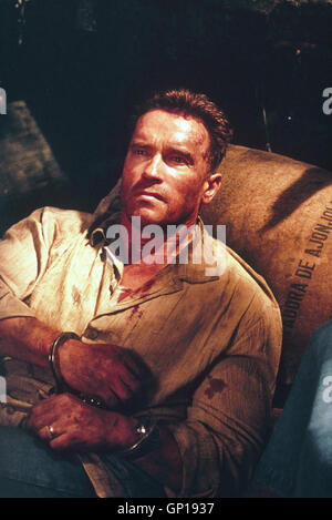 Arnold Schwarzenegger *** Local Caption *** 2001, Collateral Damage, Collateral Damage - Zeit ...