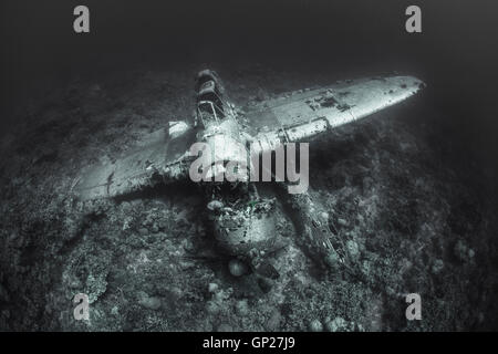 Japanese Jake Fighter seaplane, Micronesia, Palau Stock Photo - Alamy