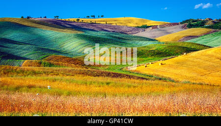 Beautiful view on agricultural crop and wheat fields on a sunny summer ...