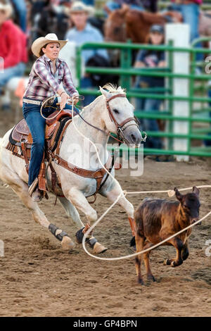 A cowgirl competing in a calf roping event at a country rodeo Stock ...