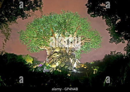 The Tree of Life at Disney's Animal Kingdom in Florida Stock Photo - Alamy
