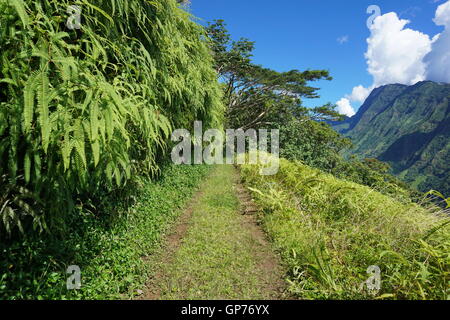 Tahiti mountain landscape, the Tuauru valley in Mahina with the mount ...