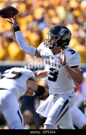 MORGANTOWN, WV - SEPTEMBER 13: West Virginia Mountaineers tight end ...