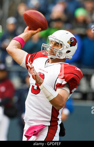 Arizona Cardinals quarterback Derek Anderson #3 during an NFL football ...