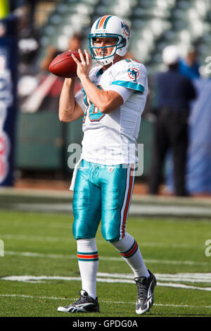 Miami Dolphins quarterback Tyler Thigpen (16) warms-up prior to an NFL ...