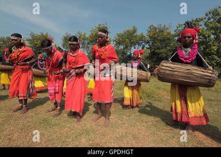 Muria adivasi tribe tribal dance dancer dancing, Jagdalpur, Bastar ...