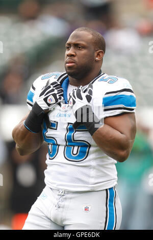 Detroit Lions middle linebacker Stephen Tulloch (55) during player ...