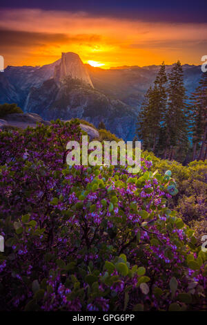 Yosemite National Park California Rising Sun over Half Dome taken from ...
