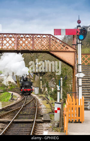 Ex-GWR pannier tank loco 1369 at Buckfastleigh station on the South ...