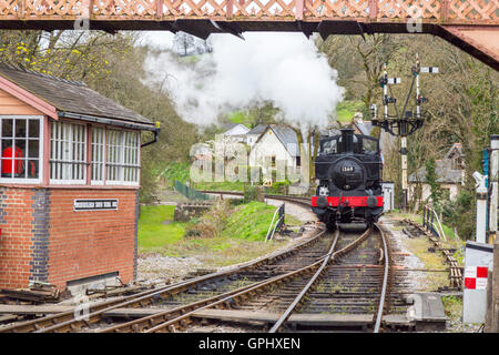 Great Western engine 1369 on Buckfastleigh Station on the South Devon ...
