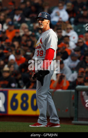 St. Louis Cardinals first base coach Chris Maloney watches from the ...