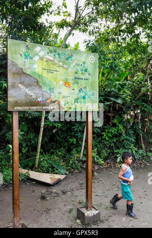 Map of the location of Pilchi Community on the Napo River (an Amazon ...