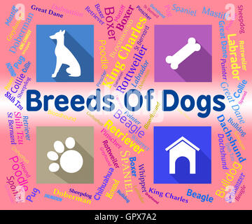 Dog Breeder Indicating Puppy Offspring And Reproducing Stock Photo - Alamy