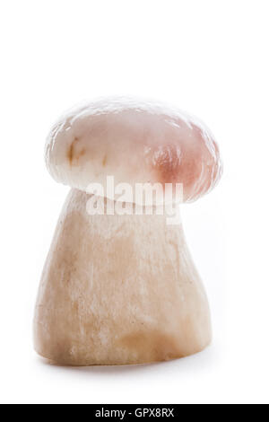 One Cep isolated Stock Photo - Alamy