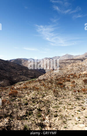 Life - The Swartberg mountains are a mountain range in the Western Cape ...
