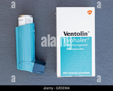 Blue reliever inhaler salbutamol inhaler asthma on a white background ...