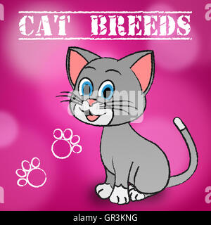 Breeds Of Cats Representing Mating Offspring And Reproduce Stock Photo ...