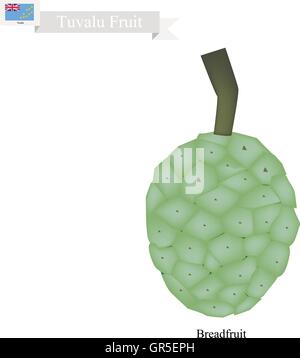 Tuvalu Fruit, Illustration of Screw Pine, Pandanus Tectorius or ...