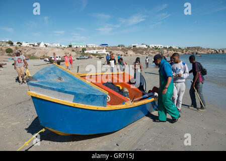 Crayfish catcher preparing their boat, Paternoster, Western Cape, South ...