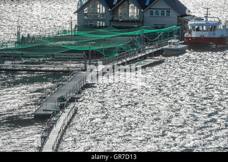 Norwegian fish farm cages for salmon growing in fjord Stock Photo - Alamy