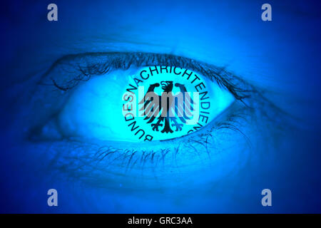 A female Secret Service agent Stock Photo - Alamy