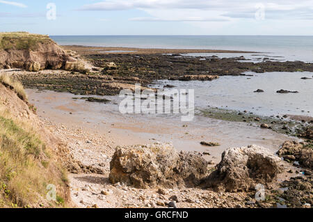 Geology between Seaburn and Whitburn, north Sea coast, north east ...