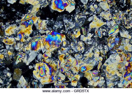 Honey under the microscope Stock Photo: 93478322 - Alamy