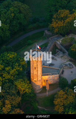 France, Moselle (57), Forbach town, Schlossberg castle (aerial view ...