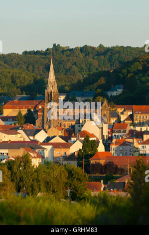 France, Moselle (57), Forbach town, Schlossberg castle (aerial view Stock Photo - Alamy