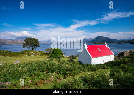 White Scottish Highland croft cottage with blue door and grazing sheep ...