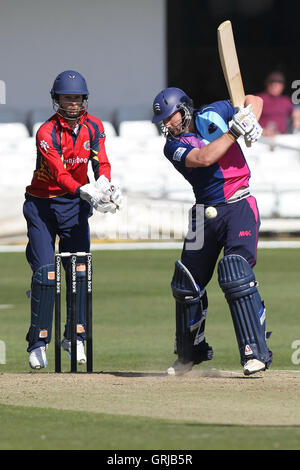 Steven Crook in batting action for Middlesex - Essex CCC vs Middlesex ...