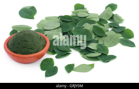 Edible moringa leaves with ground paste over white background Stock ...
