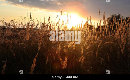sunset with clouds over field at autumn Stock Photo - Alamy