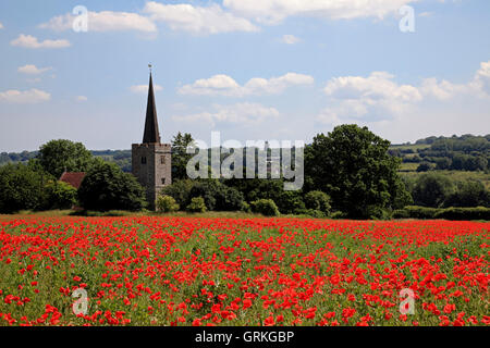 Barming Church & Poppy field, Barming, Maidstone, Kent, UK Stock Photo ...