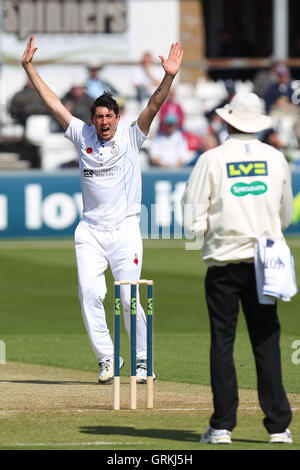 David Masters of Essex appeals successfully for the wicket of Darren ...