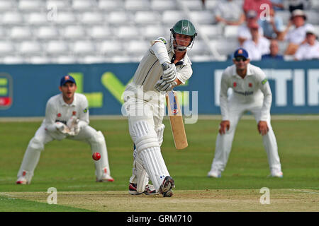 Matthew Pardoe of Worcestershire in batting action - Essex CCC vs ...