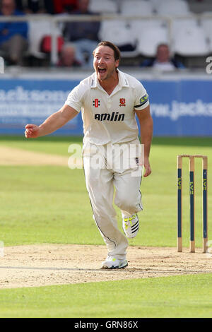 Delight for Graham Napier of Essex as he claims the wicket of Daryl ...