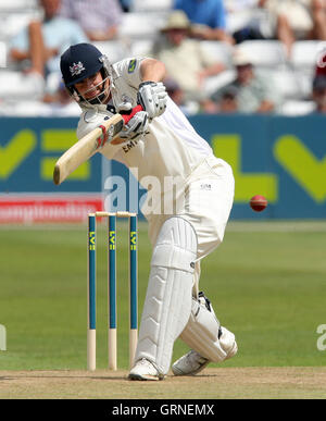 Alex Gidman of Gloucestershire - Essex CCC vs Gloucestershire CCC - LV ...