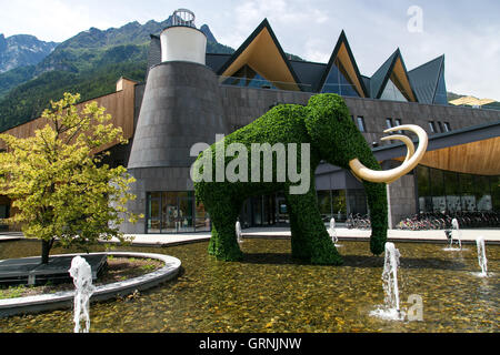 Bush in the shape of Elephant Stock Photo - Alamy