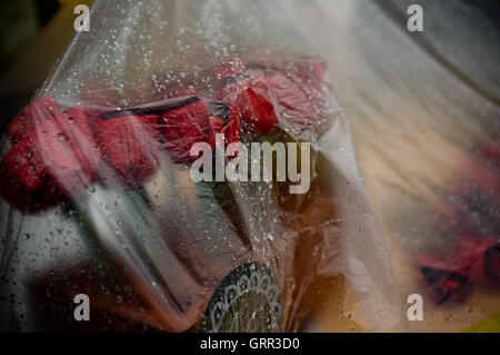 Roses exposed in the streets of Barcelona Stock Photo - Alamy