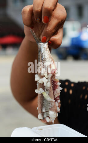 Traditional Dutch raw herring with onions on plate on wooden background ...