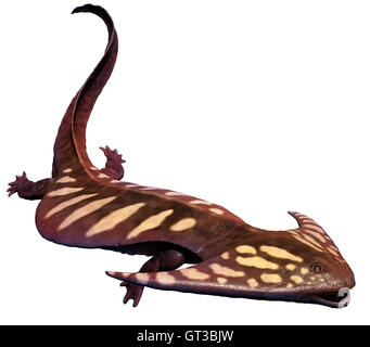 Diplocaulus Permian Amphibian Stock Photo: 228211027 - Alamy