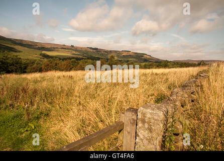 A scenic view of Bilsdale on the North Yorkshire Moors Stock Photo - Alamy
