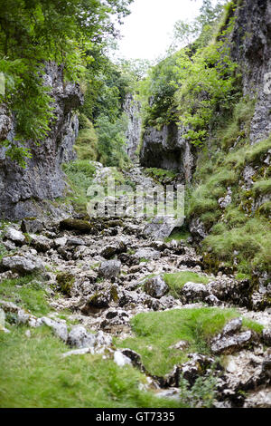 Troller's Gill Yorkshire Dales Stock Photo - Alamy