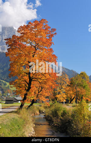 Mountain stream in the Austrian Alps Bad Hofgastein Schlossalm Salzburg ...