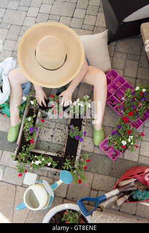 woman gardener transplanting flowers from pot into wet soil Stock Photo ...