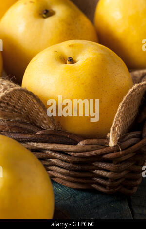 asia ripe apples apple pear bulb tropical fruit hoarfrost yellow china ...