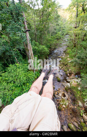canopy forest zip line tour Stock Photo - Alamy