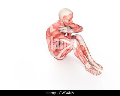 Muscular system of person doing sit ups, illustration Stock Photo - Alamy