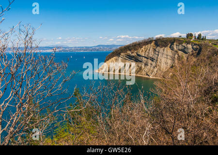 Strunjan cliff, Slovenia Stock Photo - Alamy